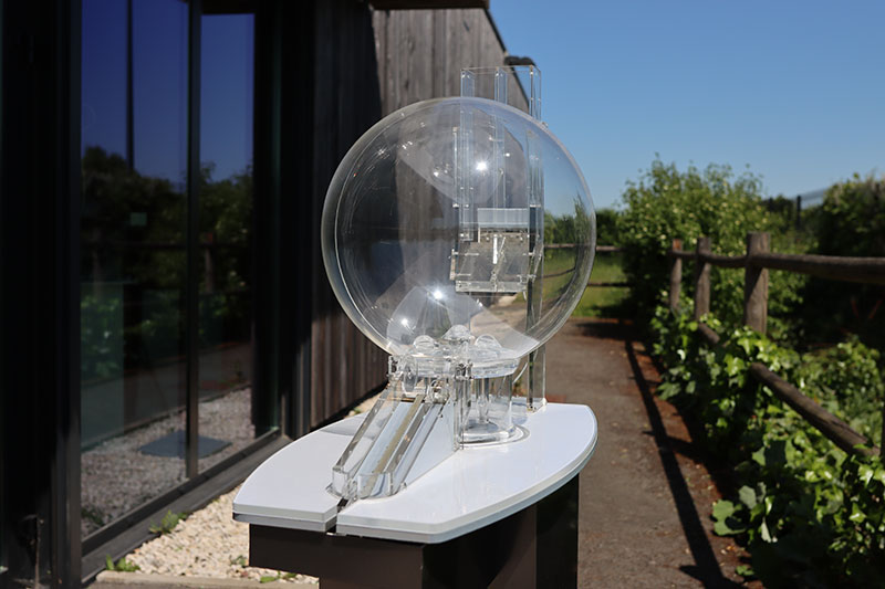 Acacia - Ryo-Catteau