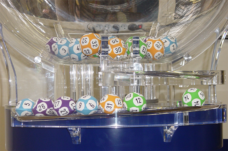 Myosotis - Ryo-Catteau