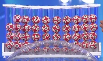 Myosotis - Ryo-Catteau