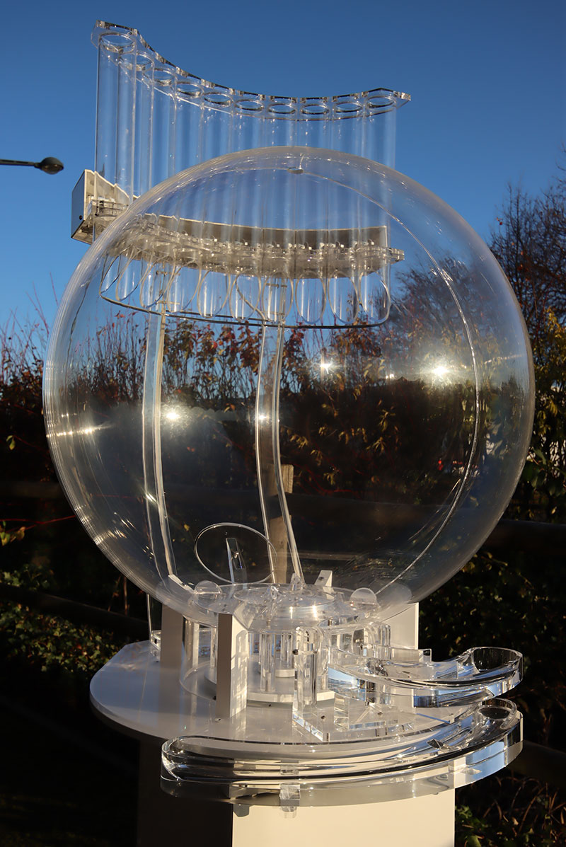 Myosotis - Ryo-Catteau